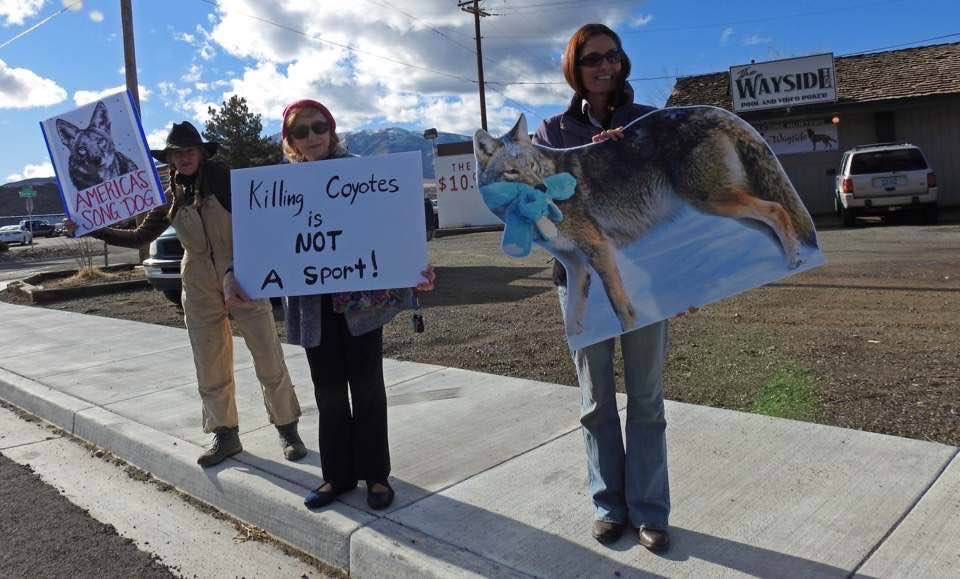 Help End Wildlife Killing Contests | TrailSafe Nevada